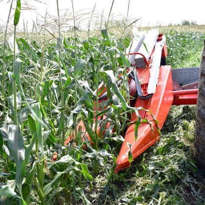 Byron sweet corn harvester (#3) - AGRICOR