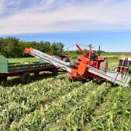 Byron sweet corn harvester (#3) - AGRICOR